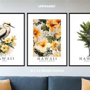 Hawaii State Symbols Poster Prints, Nene, Candlenut, Hibiscus Set - Etsy