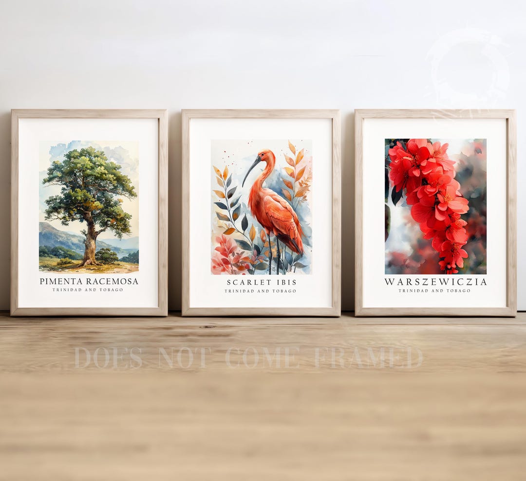 Trinidad and Tobago National Symbols, the Scarlet Ibis, Warszewiczia ...