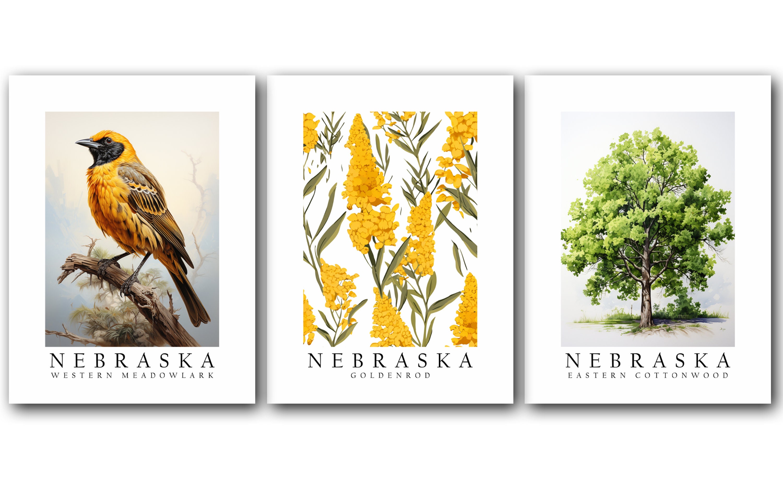 Nebraska State Symbol Poster Prints, Meadowlark, Cottonwood, Goldenrod ...
