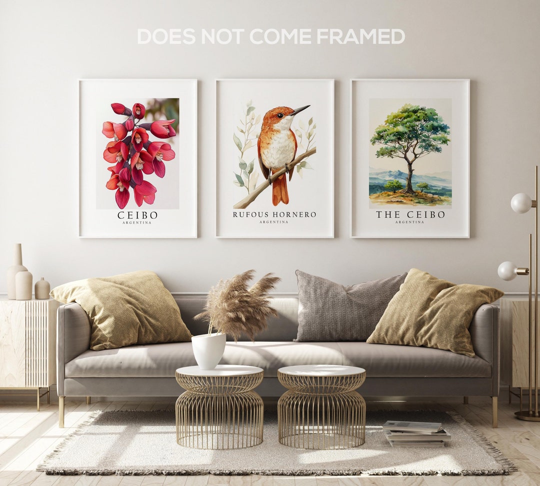 Argentina National Symbols, Rufous Hornero Bird, Ceibo Flower, Ceibo ...