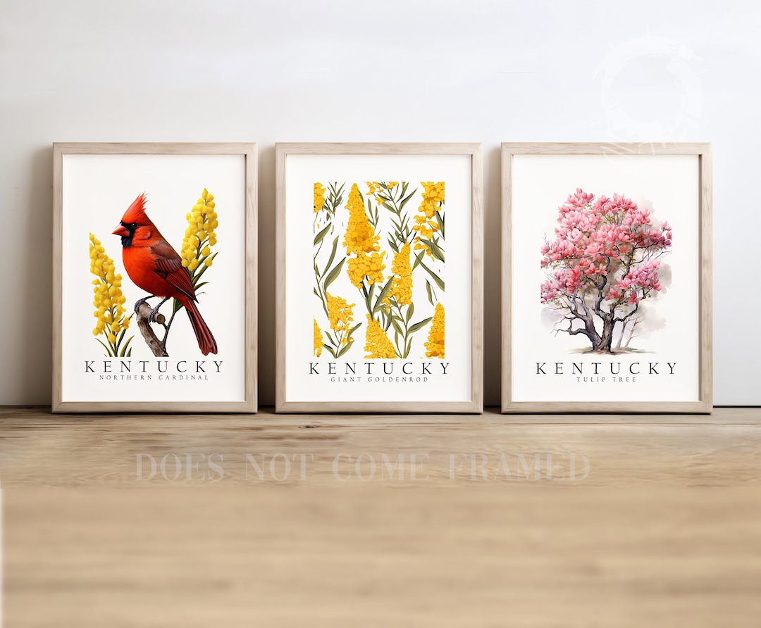 Kentucky State Bird Northern Cardinal, State Tree Tulip Tree, State ...