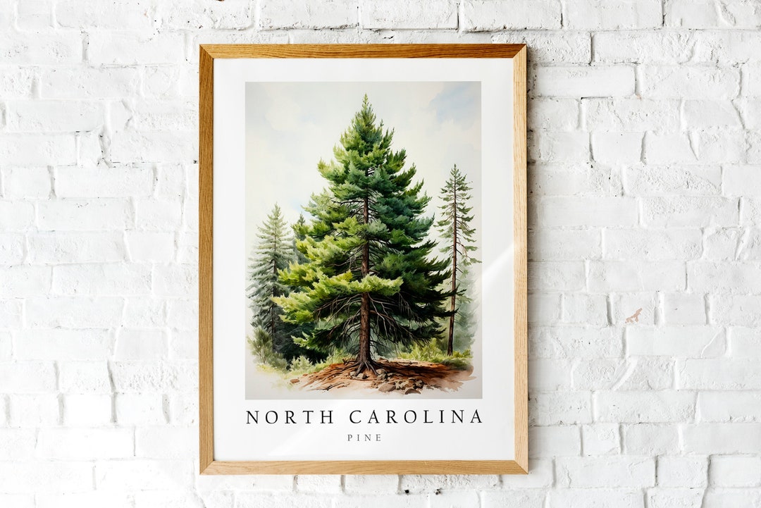 Pine, the State Tree of North Carolina, Poster Print, Wall Décor - Etsy