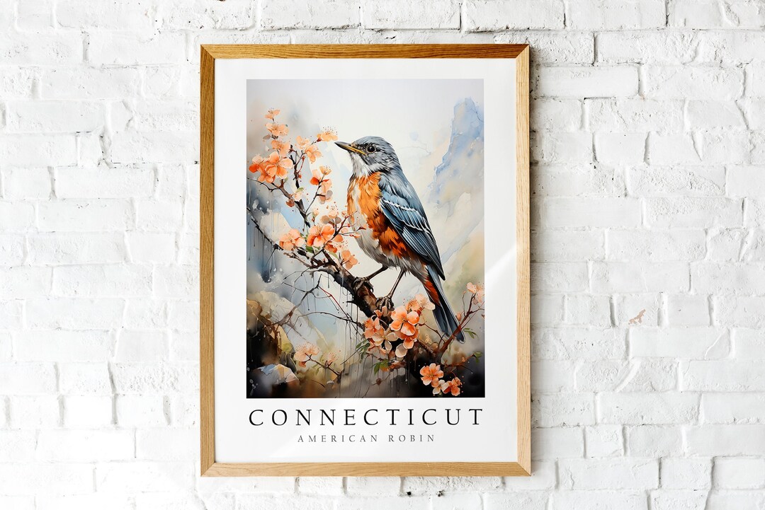 American Robin, Connecticut State Bird, Poster Print, Wall Décor - Etsy