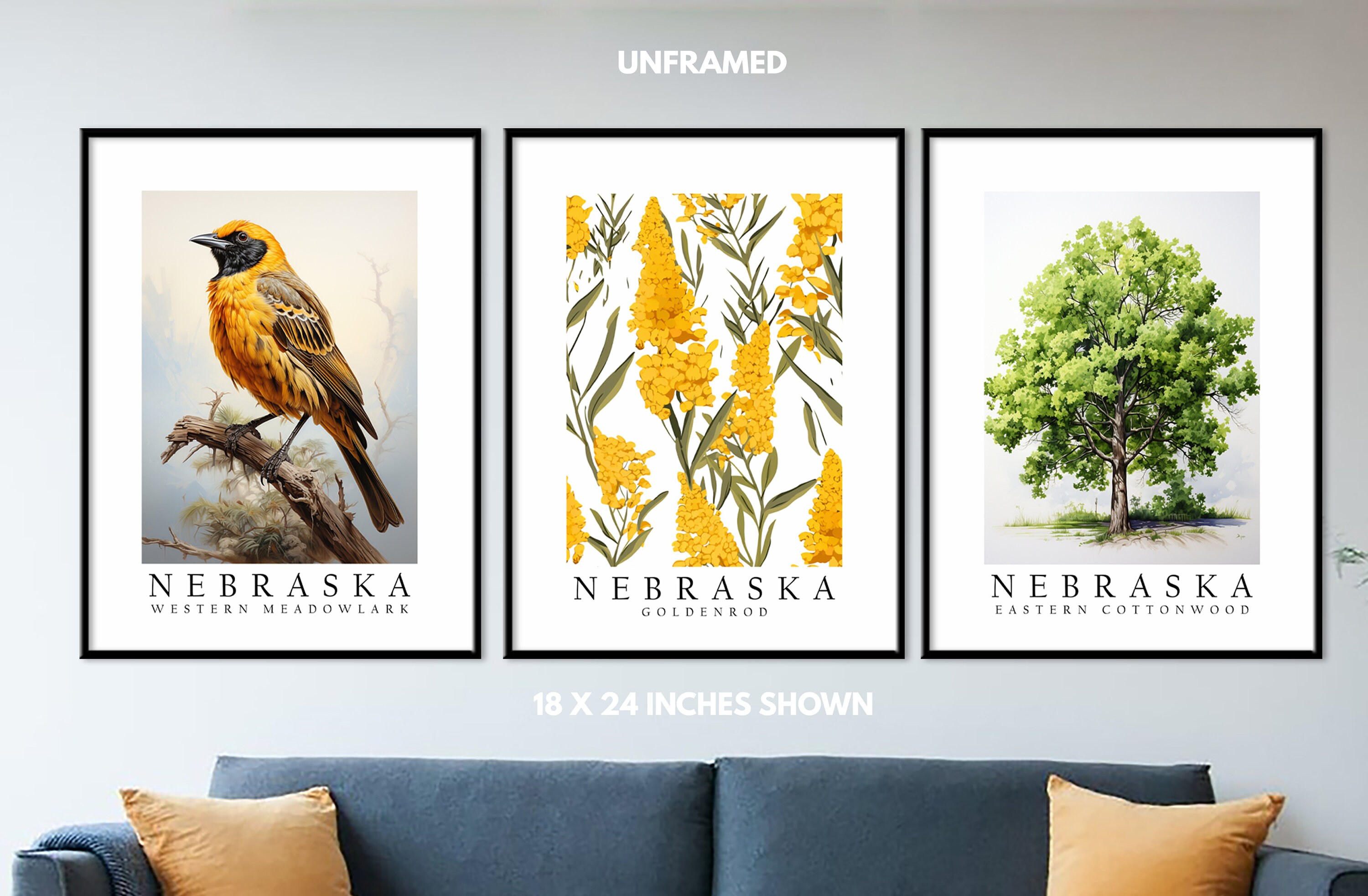 Nebraska State Symbol Poster Prints, Meadowlark, Cottonwood, Goldenrod ...
