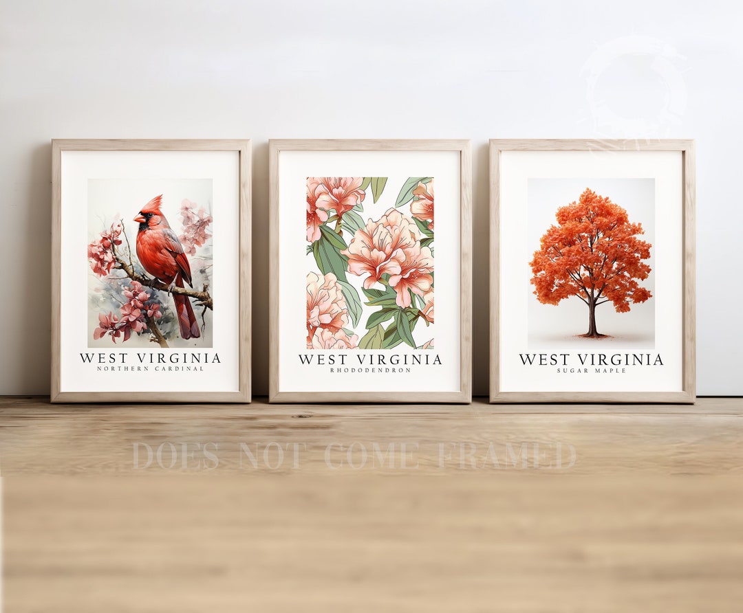 West Virginia State Bird Northern Cardinal, State Tree Sugar Maple ...