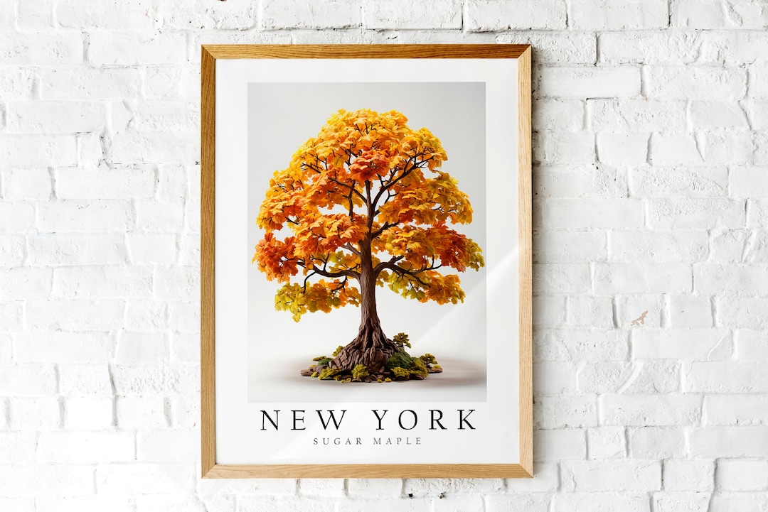 Sugar Maple, the State Tree of New York , Poster Print, Wall Décor - Etsy