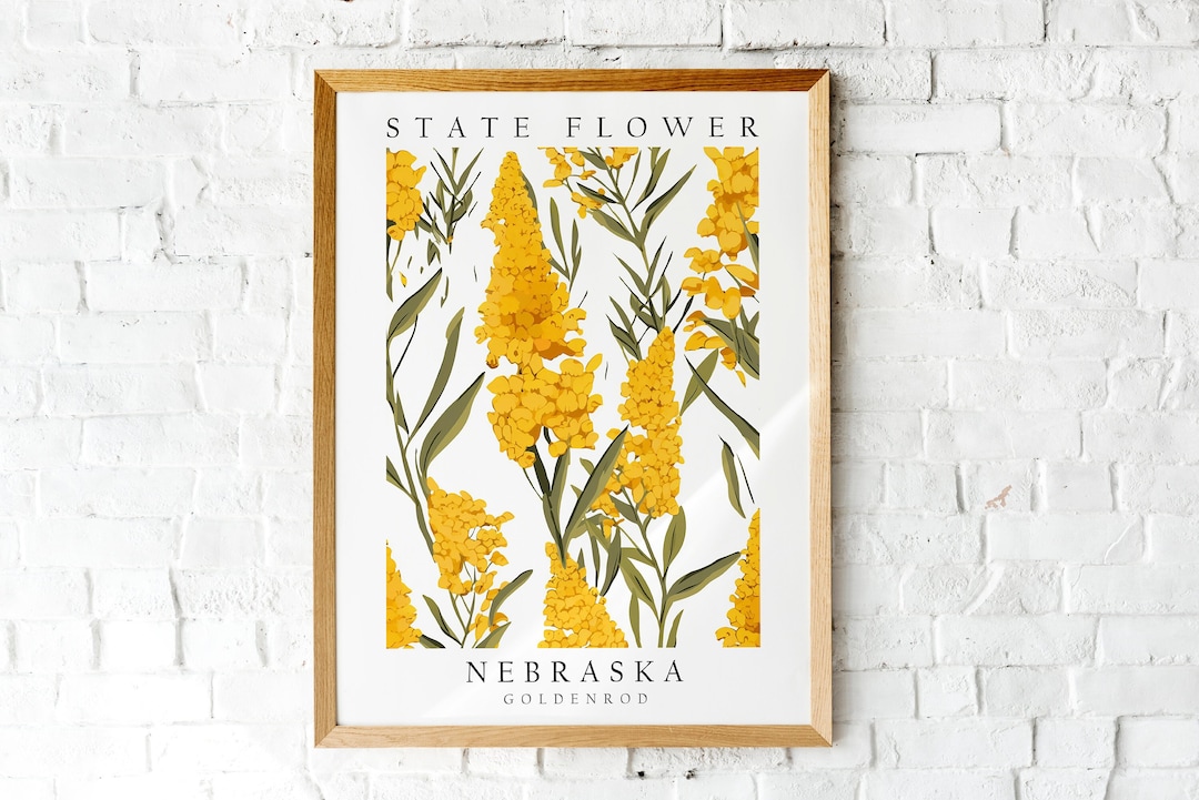 Goldenrod, Nebraska State Flower, Poster Print, Wall Décor - Etsy