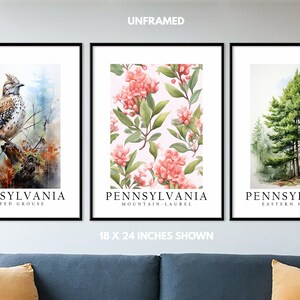 Pennsylvania State Bird Ruffed Grouse, State Tree Eastern Hemlock ...