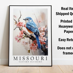 Eastern Bluebird, the State Bird of Missouri, Poster Print, Wall Décor ...