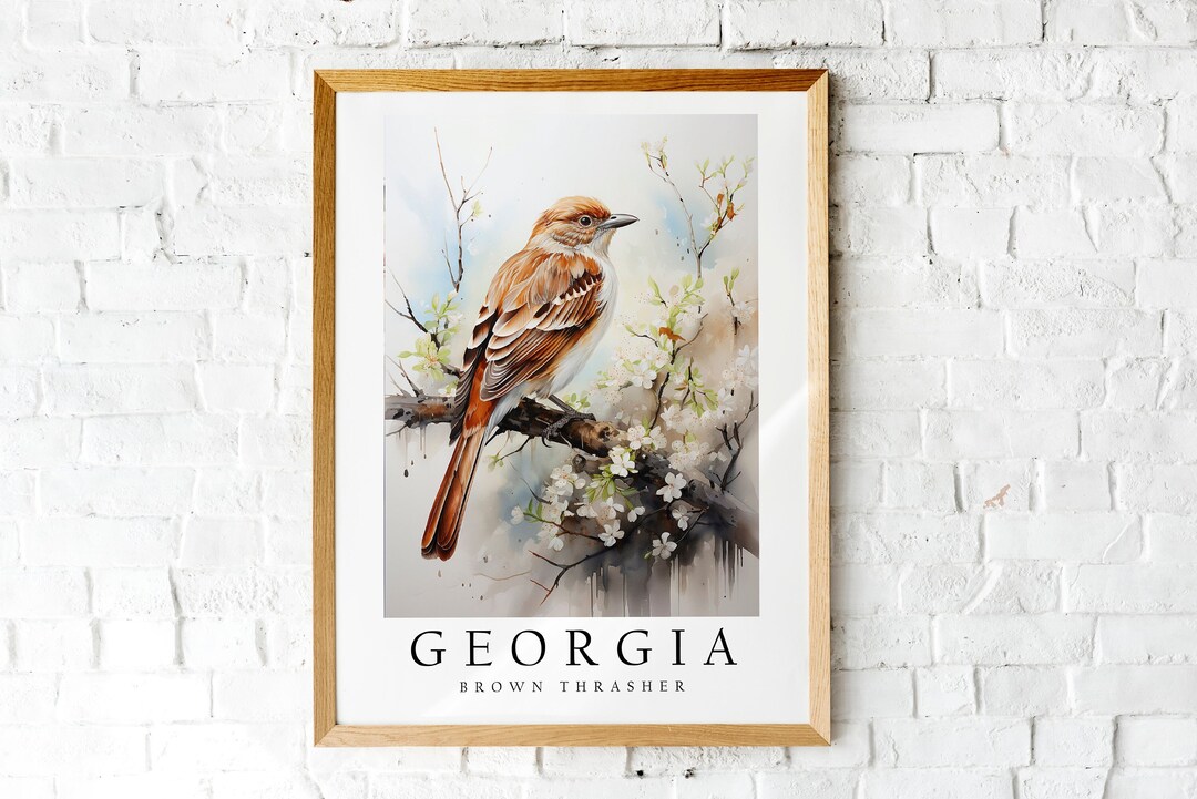 Brown Thrasher, the State Bird of Georgia, Poster Print, Wall Décor - Etsy