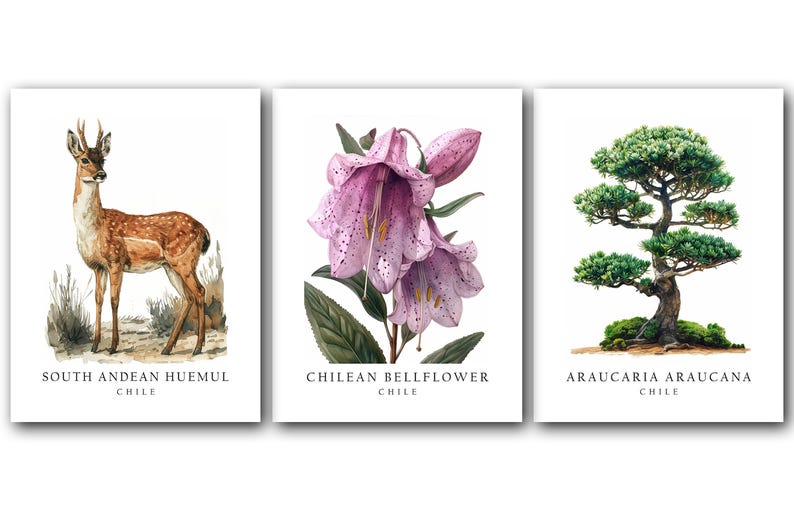 Chile National Symbols Poster Prints: Andean Huemul, Bellflower ...