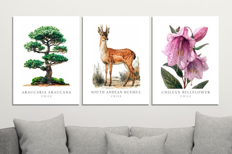 Chile National Symbols Poster Prints: Andean Huemul, Bellflower ...