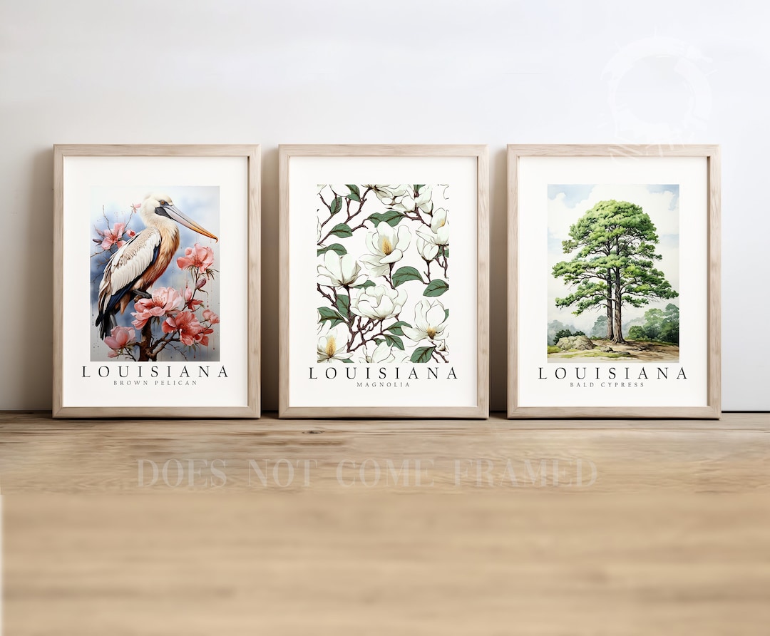 Louisiana State Symbols Poster Prints, Pelican, Cypress, Magnolia, Set ...