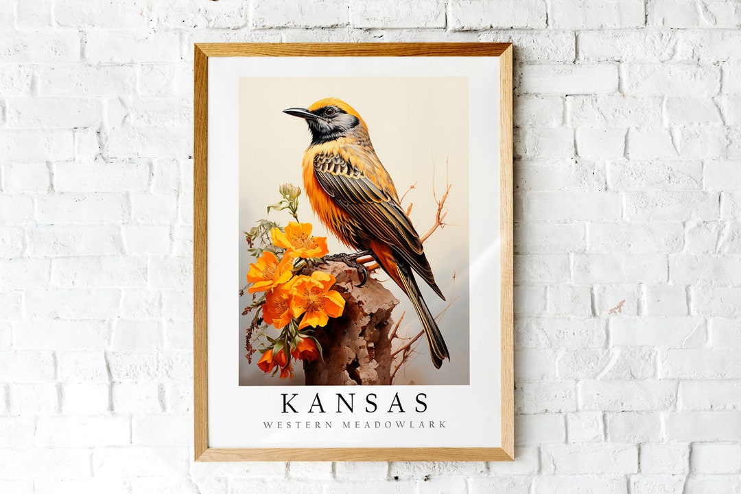 Western Meadowlark, the State Bird of Kansas, Poster Print, Wall Décor ...