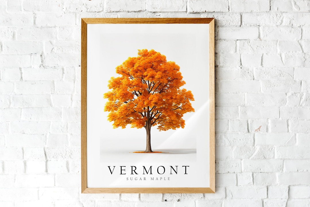 Sugar Maple, the State Tree of Vermont, Poster Print, Wall Décor - Etsy