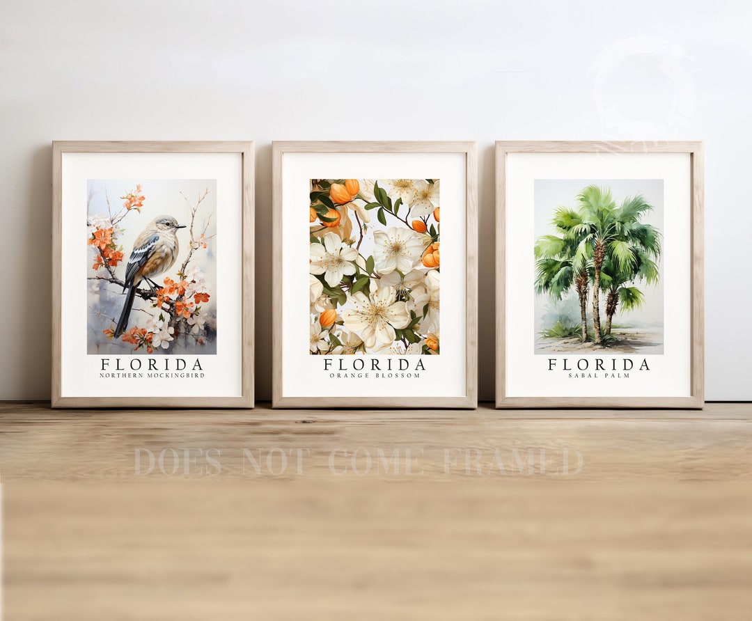Florida State Symbols Poster Prints, Bird, Palm, Blossom, Set of 3 - Etsy