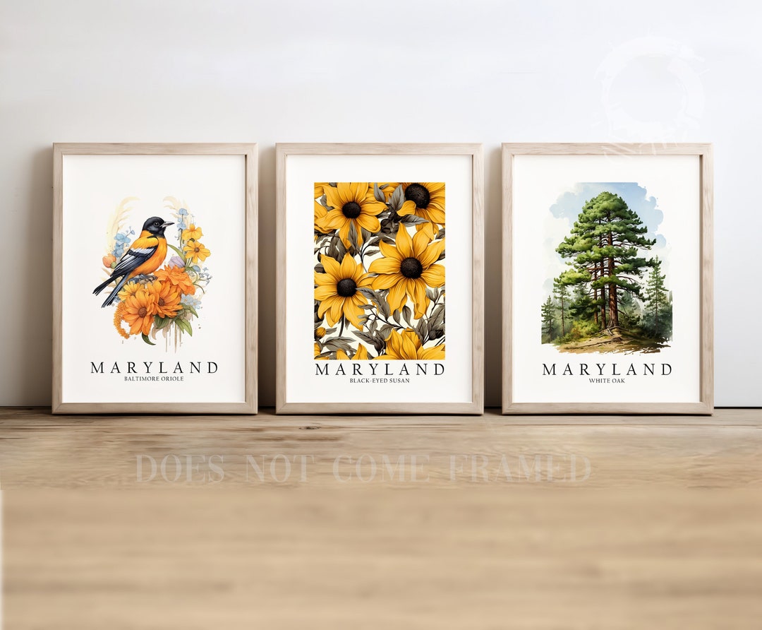Maryland State Symbols Poster Prints, Baltimore Oriole, White Oak ...