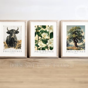 Philippines National Symbols, Carabao, Sampaguita Flower, Narra Tree ...