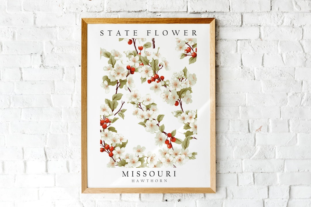 Hawthorn, Missouri State Flower, Poster Print, Wall Décor - Etsy