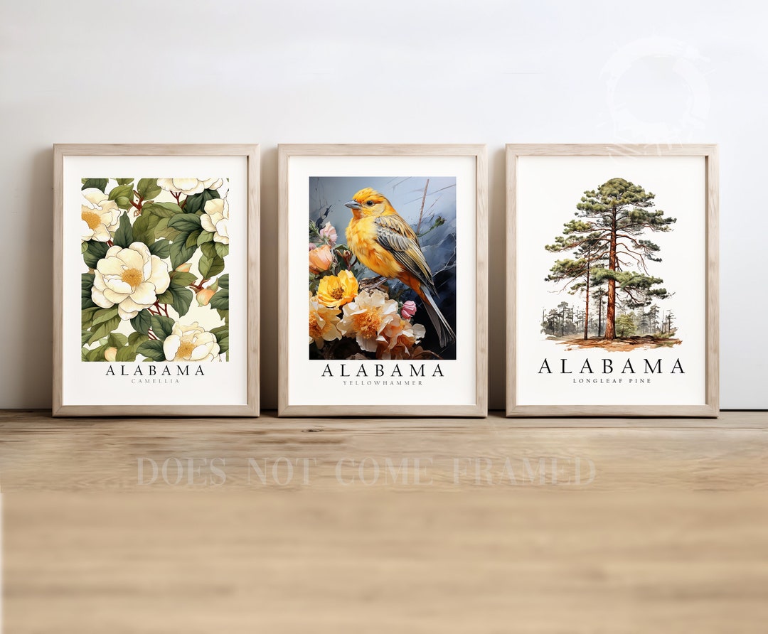 Alabama State Bird Yellowhammer State Tree Longleaf Pine - Etsy