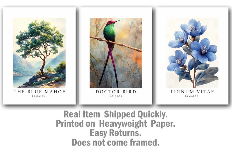 Jamaica National Symbols Poster Prints: Doctor Bird, Lignum Vitae, Blue ...