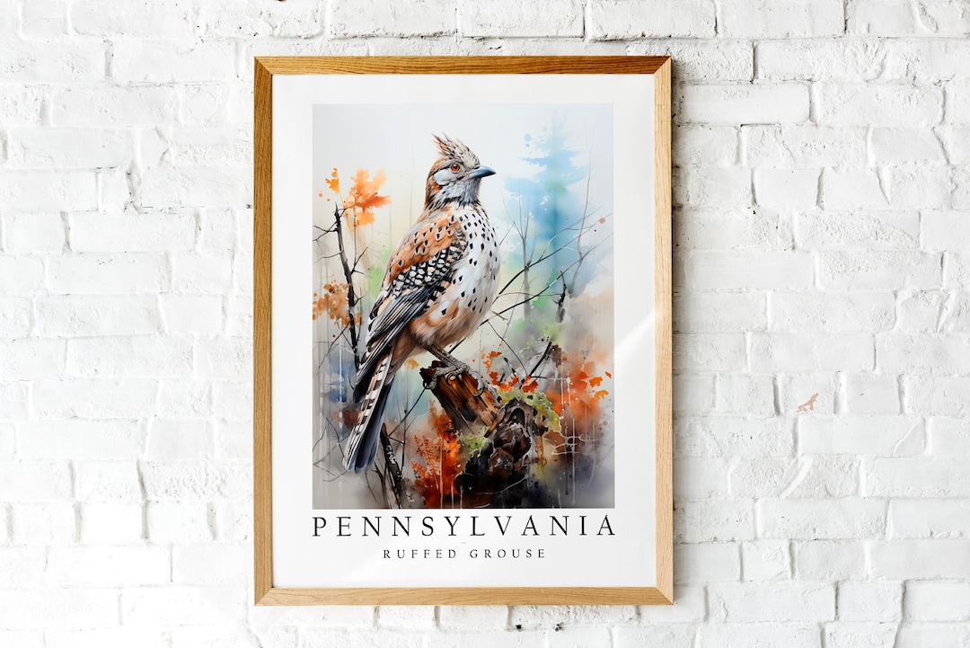 Ruffed Grouse, the State Bird of Pennsylvania, Poster Print, Wall Décor ...