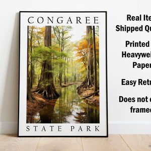 Congaree National State Park, Poster Print, Wall Décor - Etsy