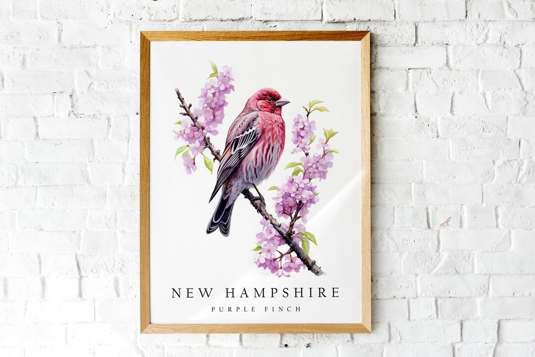 Purple Finch, the State Bird of New Hampshire, Poster Print, Wall Décor ...