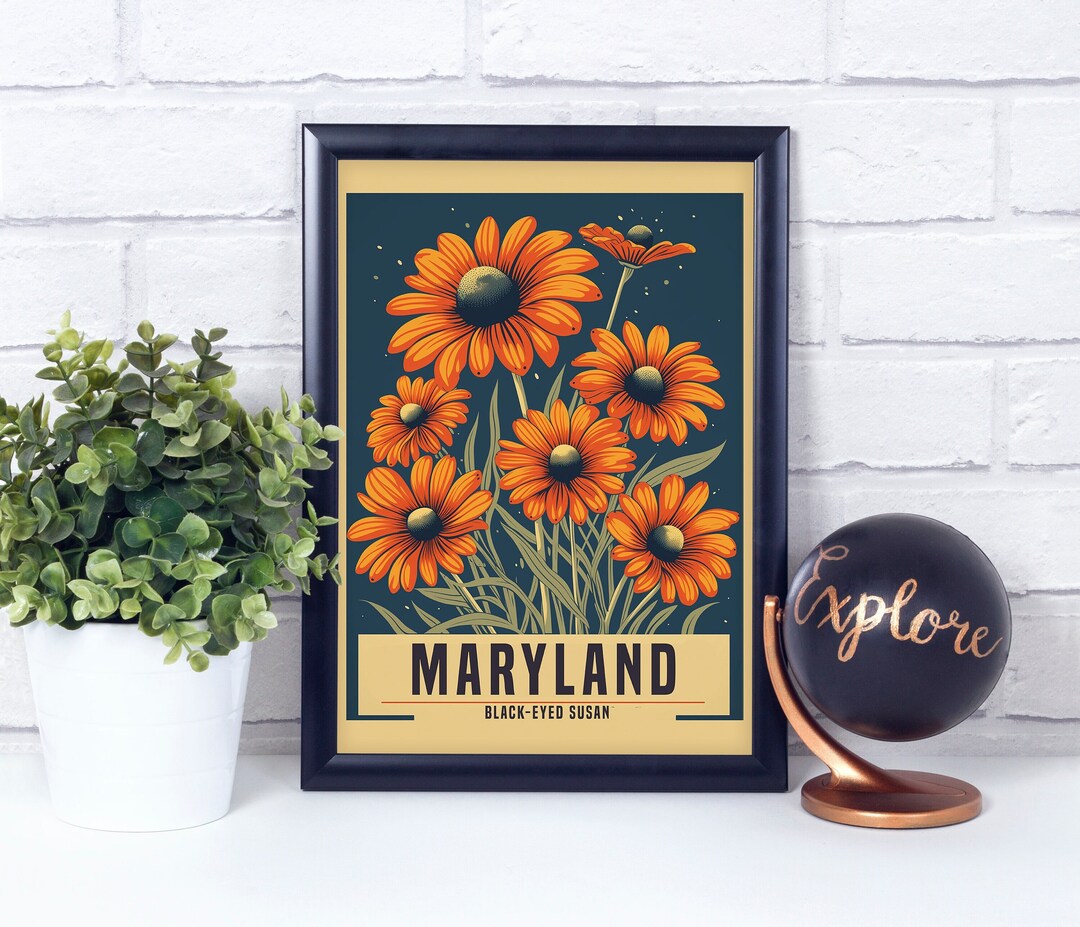 Black Eyed Susan, Maryland State Flower in Vintage Retro Style, Poster ...