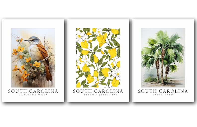 South Carolina State Symbols Poster Prints, Carolina Wren, Sabal Palm ...