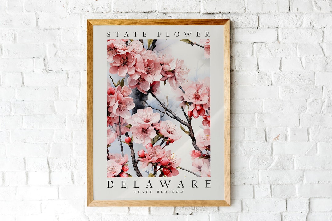 Peach Blossom, the State Flower of Delaware, Poster Print, Wall Décor ...