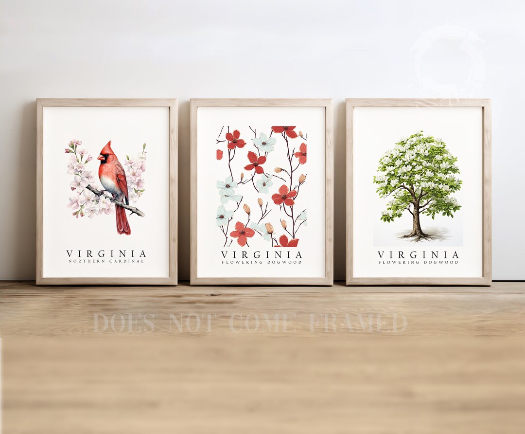 Virginia State Bird Northern Cardinal, State Tree Flowering Dogwood ...