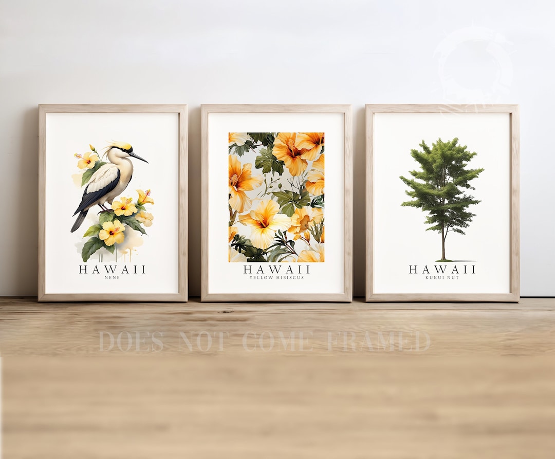 Hawaii State Bird Nene, State Tree Candlenut, State Flower Hibiscus ...