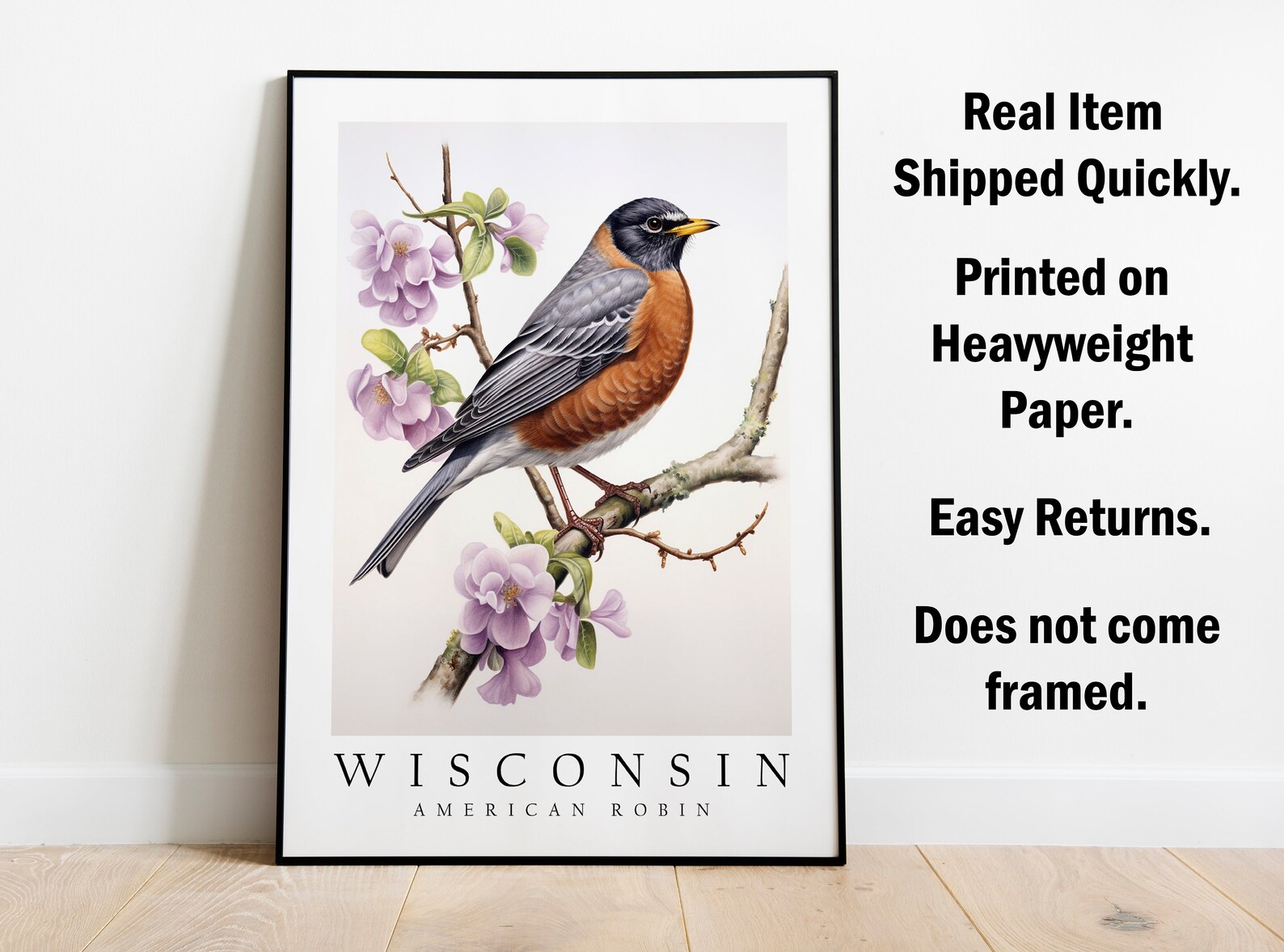 American Robin, the State Bird of Wisconsin, Poster Print, Wall Décor ...