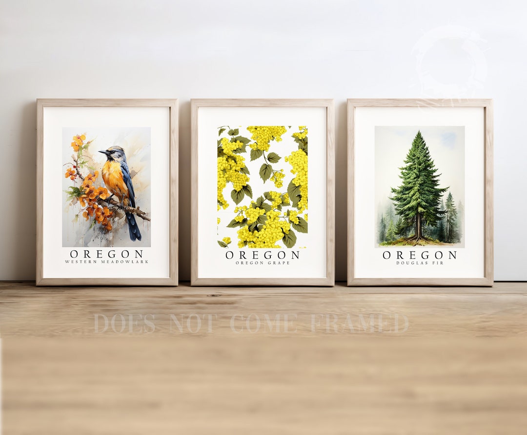 Oregon State Bird Western Meadowlark, State Tree Douglas Fir, State ...