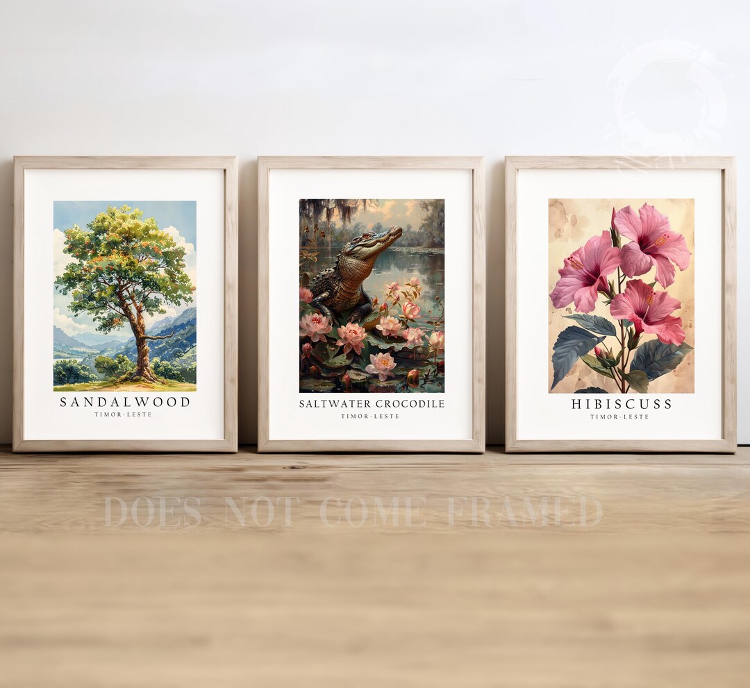 Timor-leste National Symbols, the Saltwater Crocodile, Hibiscus Flower ...