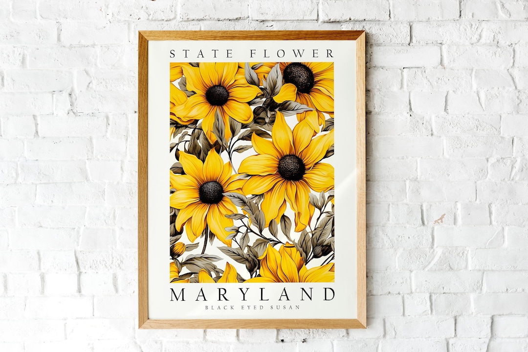 Black Eyed Susan, Maryland State Flower, Poster Print, Wall Décor - Etsy