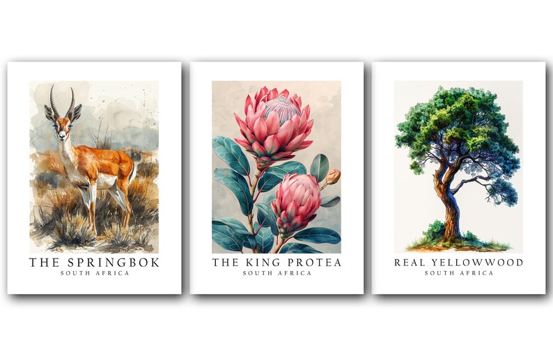 South Africa National Symbols Poster Prints, Springbok, Protea ...