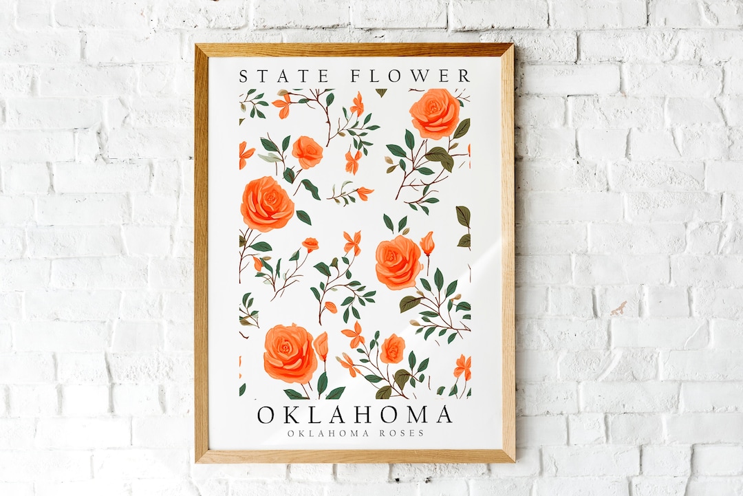Oklahoma Rose, the State Flower of Oklahoma, Poster Print, Wall Décor ...