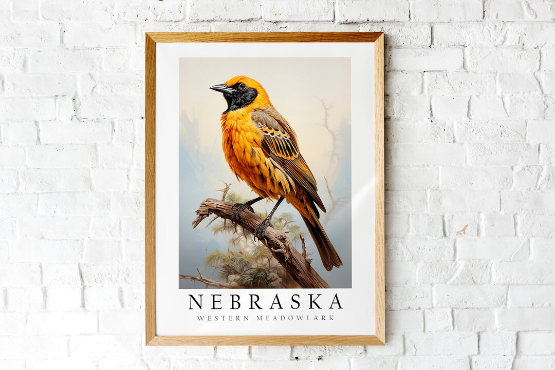 Western Meadowlark, the State Bird of Nebraska, Poster Print, Wall ...
