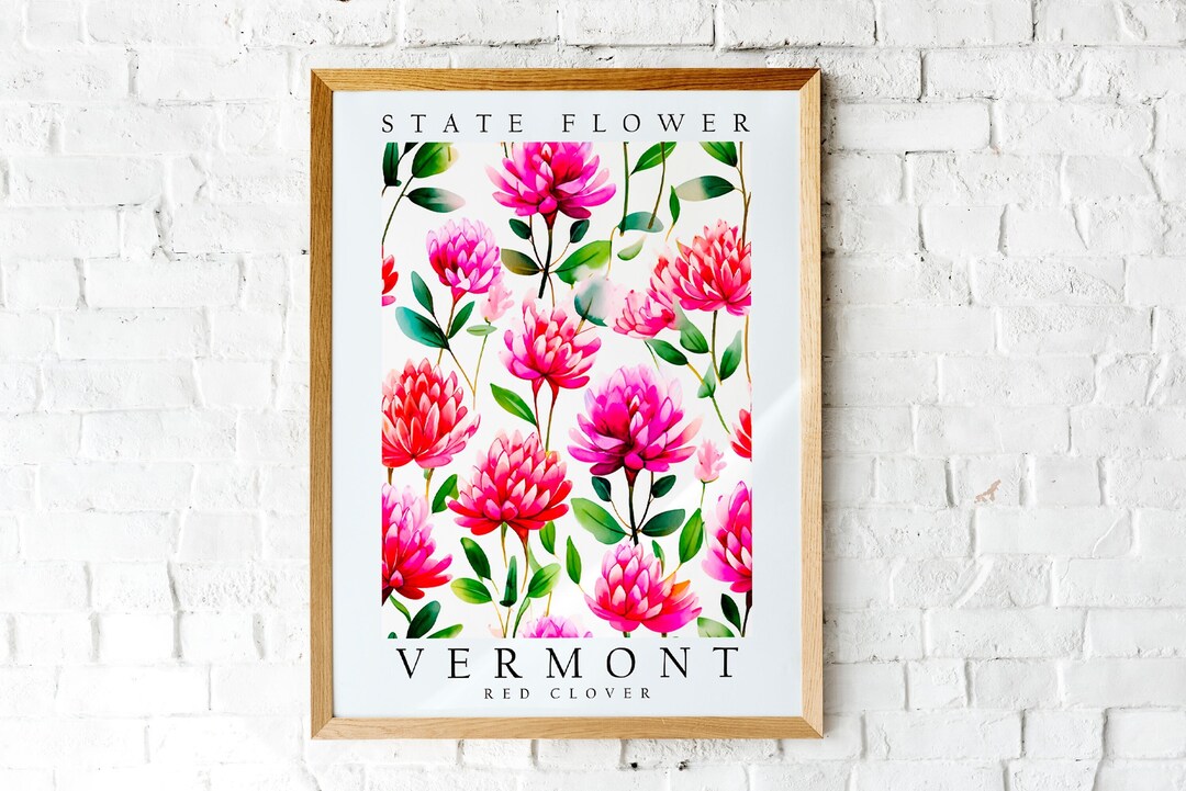 Red Clover, Vermont State Flower, Poster Print, Wall Décor - Etsy