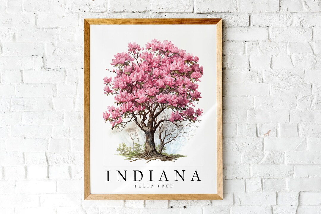Tulip Tree, the State Tree of Indiana, Poster Print, Wall Décor - Etsy