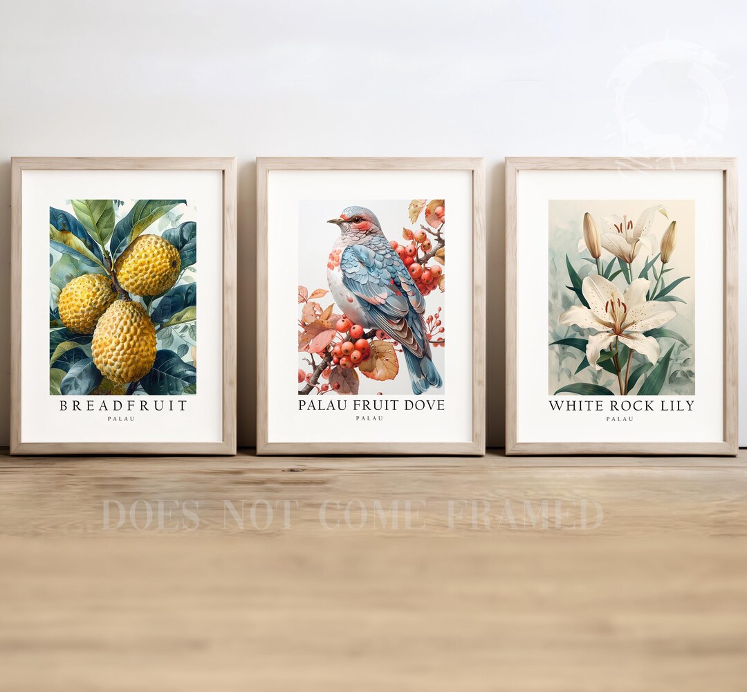 Palau National Symbols, the Palau Fruit-dove, White Rock Lily Flower ...