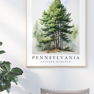 Eastern Hemlock, the State Tree of Pennsylvania, Poster Print, Wall ...