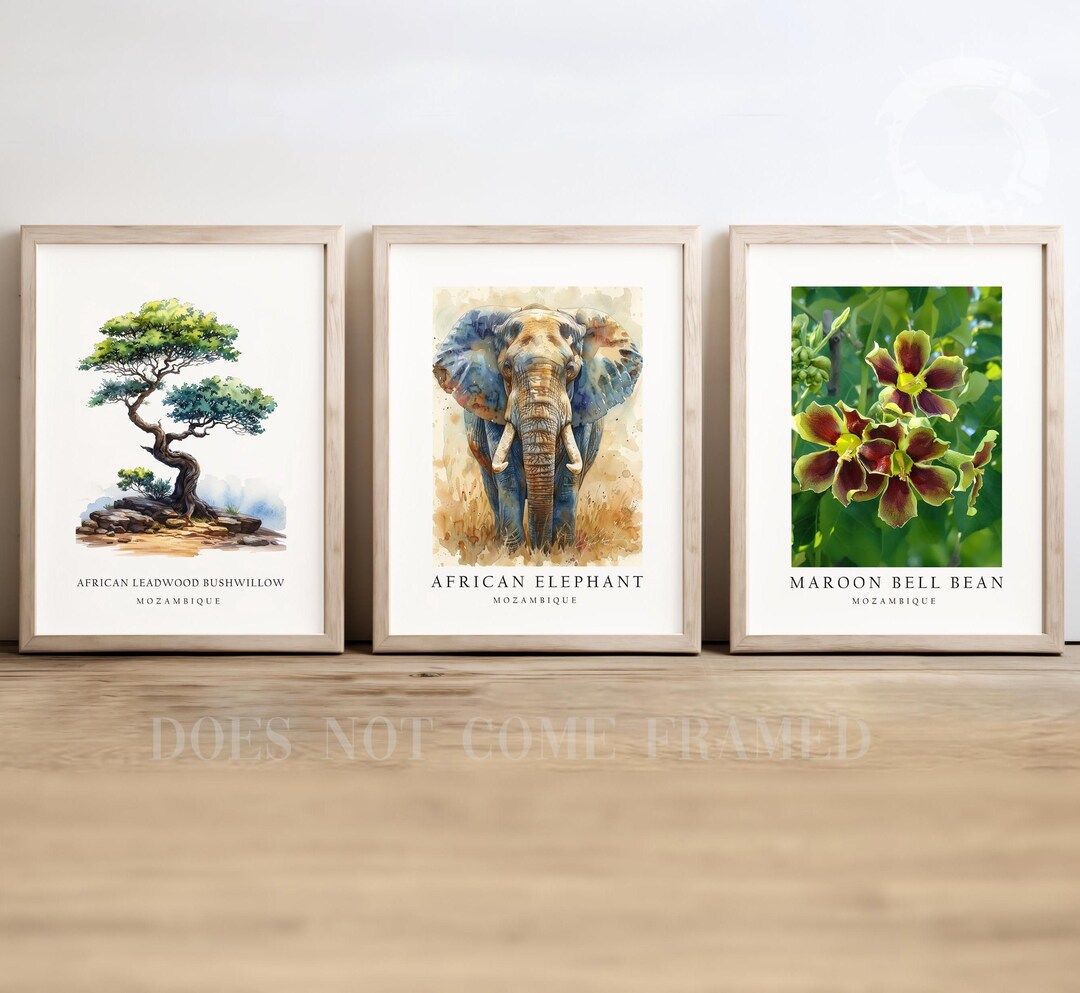 Mozambique National Symbols, the African Elephant, Maroon Bell Bean ...