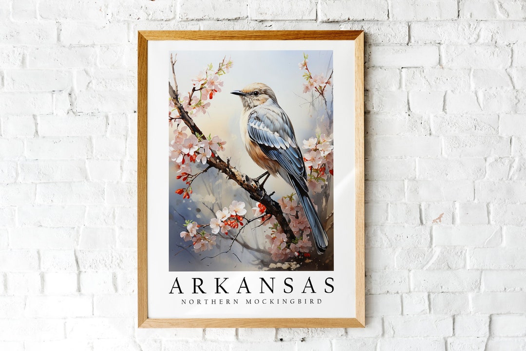 Northern Mockingbird, the State Bird of Arkansas, Poster Print, Wall ...