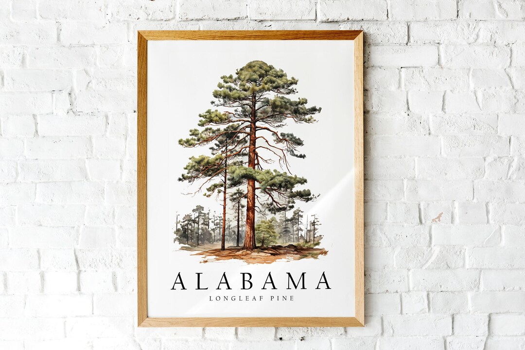 Longleaf Pine, the State Tree of Alabama, Poster Print, Wall Décor - Etsy