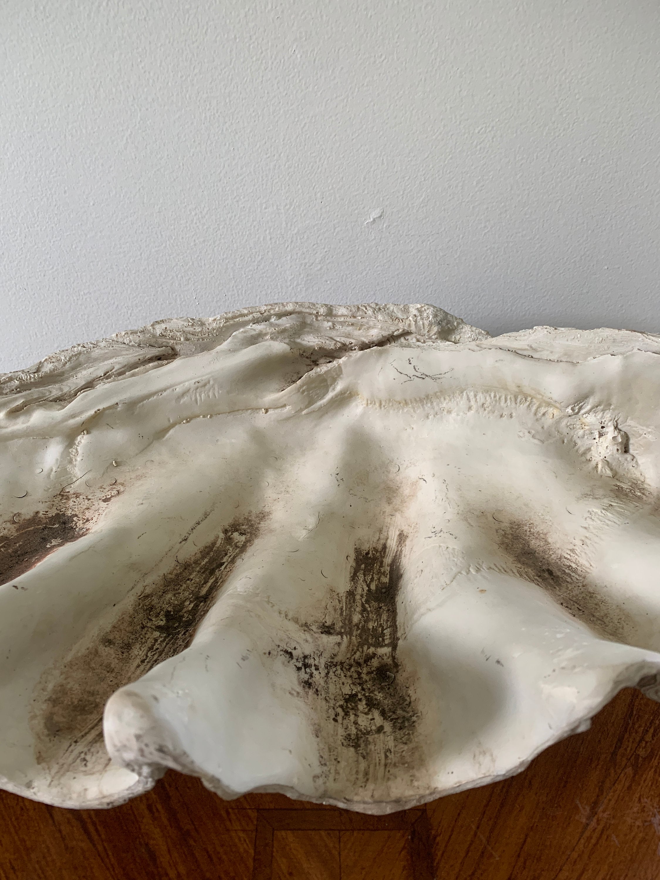 Mid 20th Century Giant Faux Clam Shell - Etsy