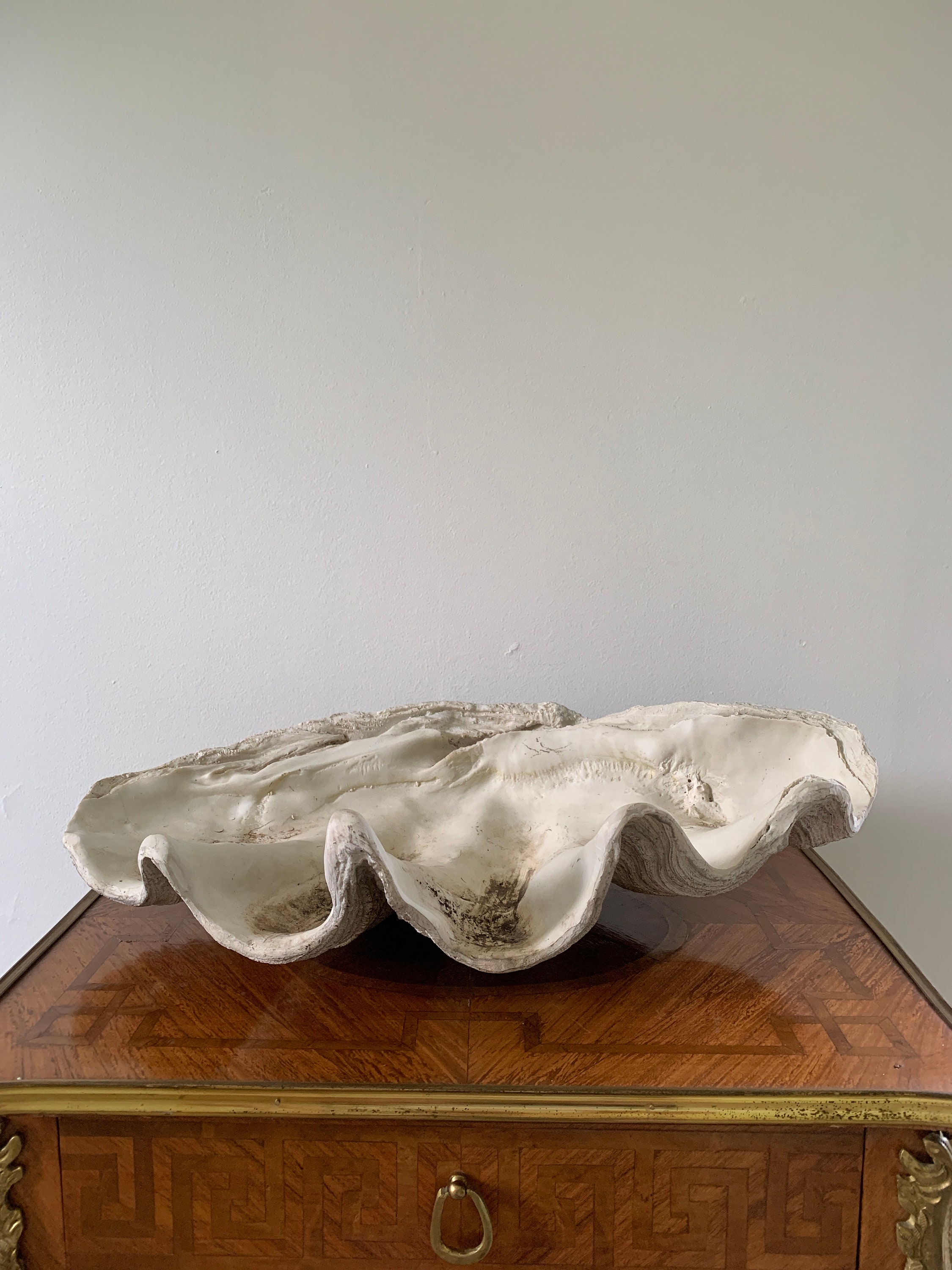 Mid 20th Century Giant Faux Clam Shell - Etsy