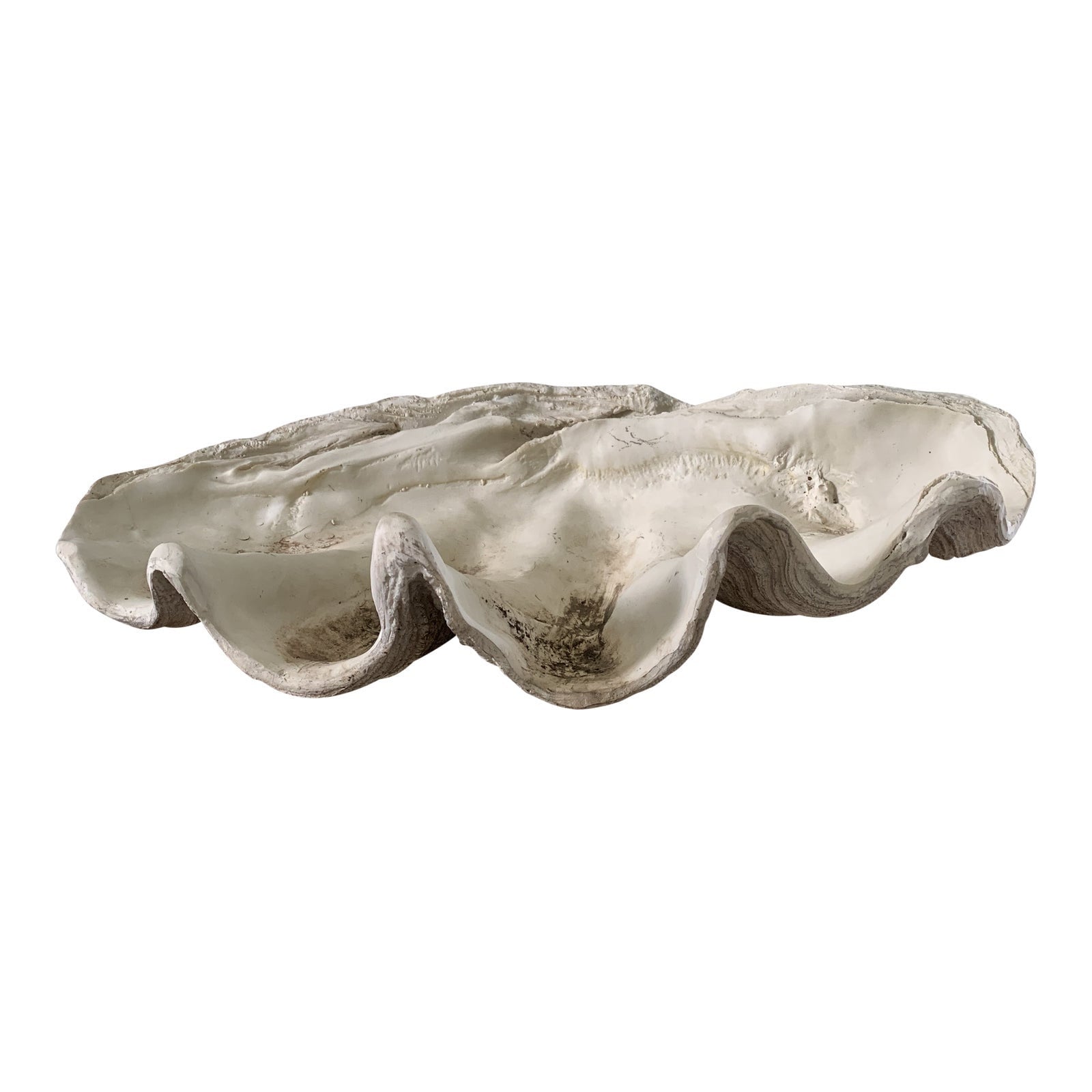 Giant Clam Shell Prop